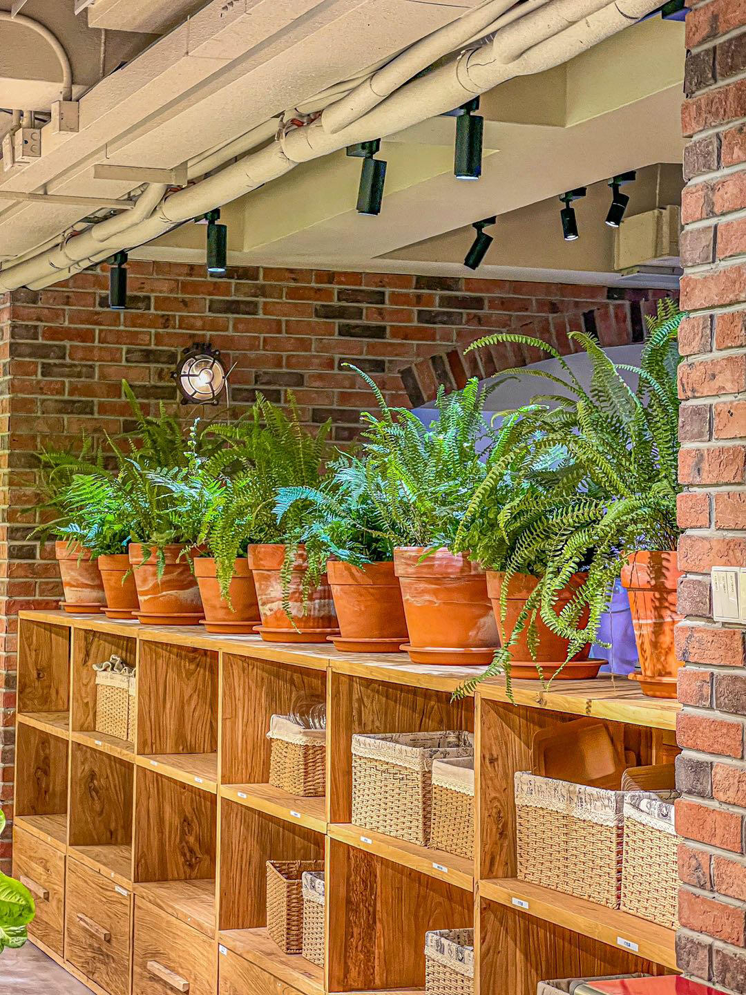 广州SUPA FAMA农场西餐(体育西路店)攻略,SUPA FAMA农场西餐(体育西路店)特色菜推荐/菜单/人均消费/电话/地址/菜系/点评 ...