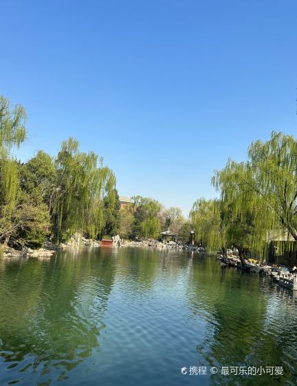 北京清华大学-甲所餐厅攻略,清华大学-甲所餐厅特色菜推荐/菜单/人均消费/电话/地址/菜系/点评/营业时间【携程美食】