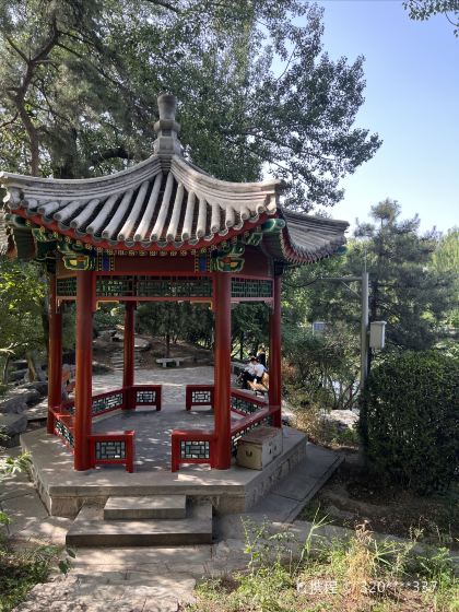 北京清华大学-甲所餐厅攻略,清华大学-甲所餐厅特色菜推荐/菜单/人均消费/电话/地址/菜系/点评/营业时间【携程美食】