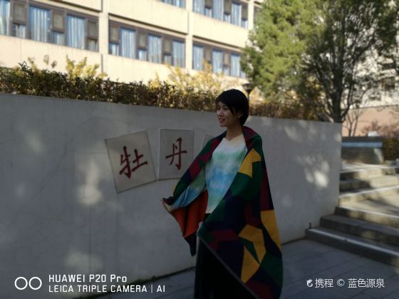 北京清华大学-甲所餐厅攻略,清华大学-甲所餐厅特色菜推荐/菜单/人均消费/电话/地址/菜系/点评/营业时间【携程美食】