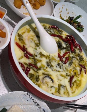 上海大树餐厅 世纪汇店 攻略 大树餐厅 世纪汇店 特色菜推荐 菜单 人均消费 电话 地址 菜系 点评 营业时间【携程美食】