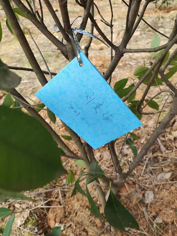 泉鹭山庄植树节活动开启啦 - 长沙游记攻略【携程攻略】