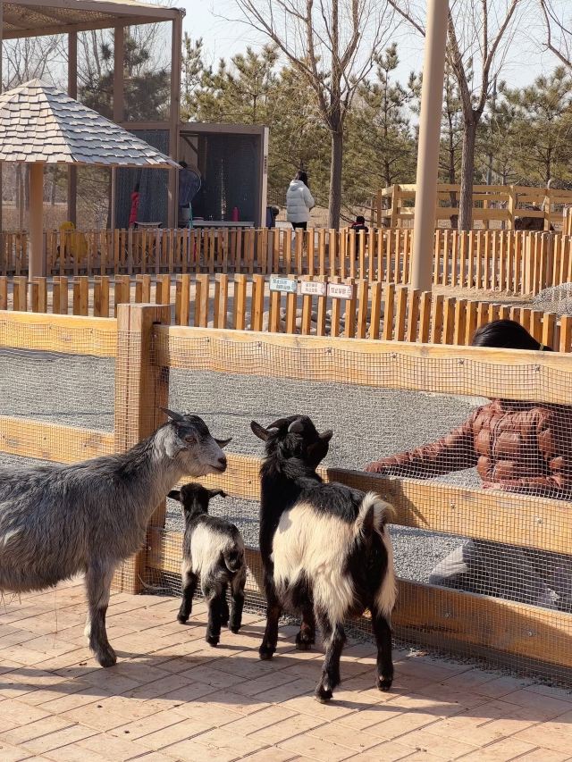 北京ZooLand动物王国游玩攻略简介,北京ZooLand动物王国门票/地址/图片/开放时间/照片/门票价格【携程攻略】