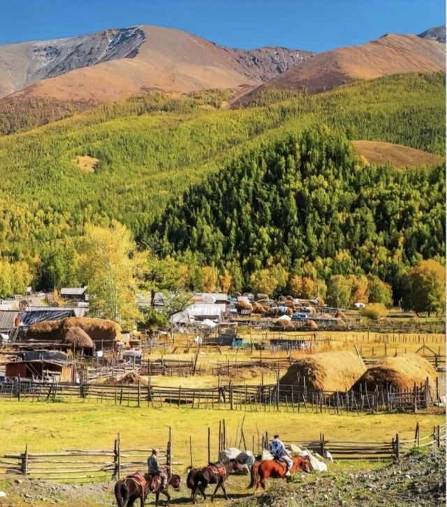 哈巴河白哈巴景区游玩攻略简介,哈巴河白哈巴景区门票/地址/图片/开放时间/照片/门票价格【携程攻略】