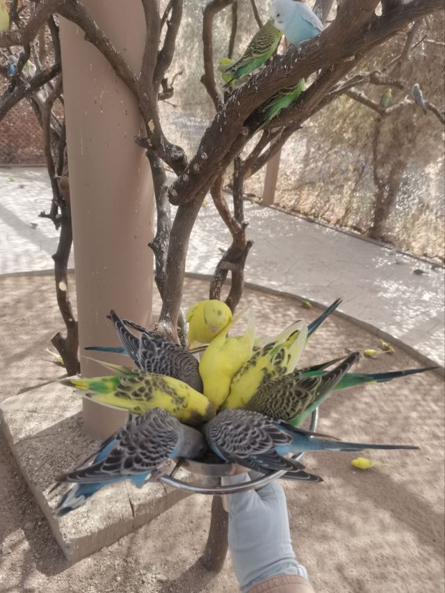 北京ZooLand动物王国游玩攻略简介,北京ZooLand动物王国门票/地址/图片/开放时间/照片/门票价格【携程攻略】