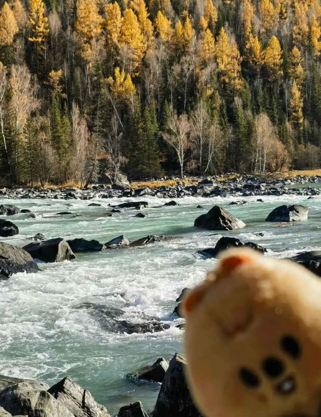 哈巴河白哈巴景区游玩攻略简介,哈巴河白哈巴景区门票/地址/图片/开放时间/照片/门票价格【携程攻略】