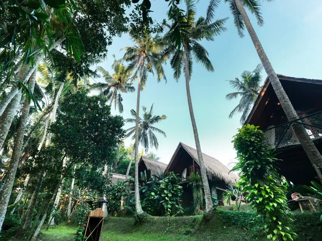 Ubud Jungle Stay By Wahm Hotel Management - Ubud