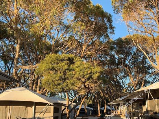 Discovery Rottnest Island - No worries Australia