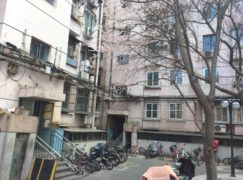 北京海洋家庭旅馆预订价格联系电话位置地址【携程酒店】 8135