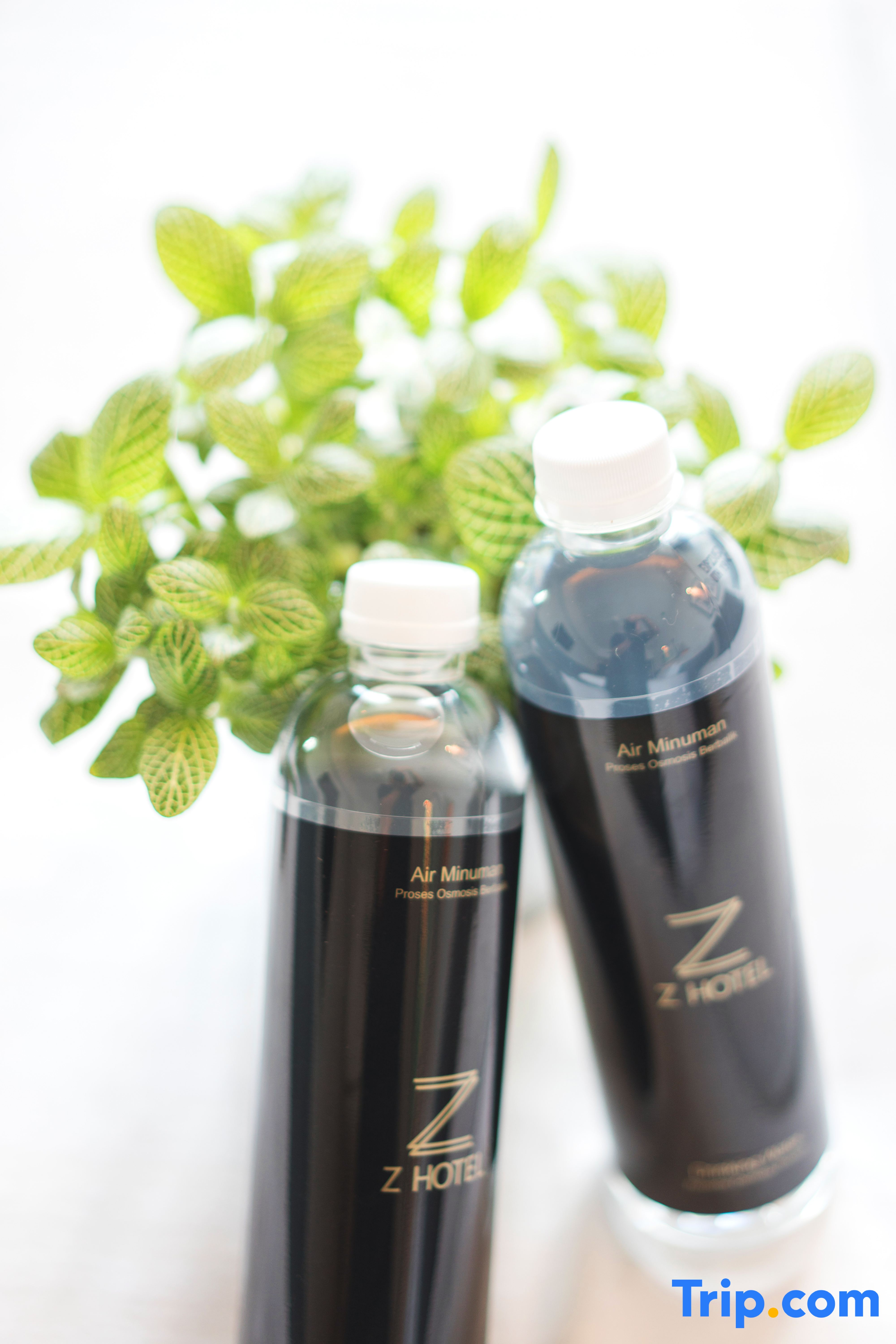 Z Hotel Book / Directions - NAVITIME Transit