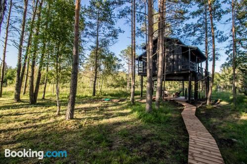 Sambliku Treehouse预订价格,联系电话位置地址【携程酒店】