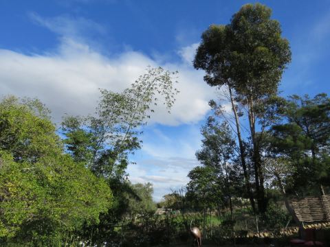 Langeberg Guest Lodge in Overberg District Municipality | 2023 Updated ...