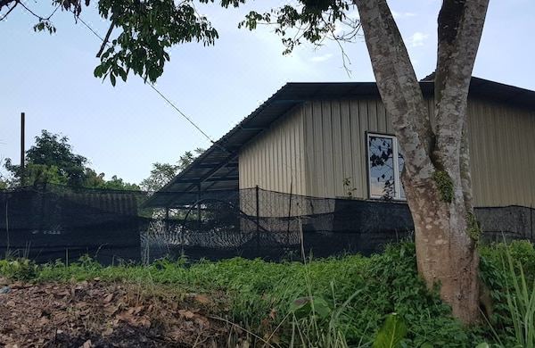 德萨太子河畔旅馆(Riverside Lodge Desa Putra)预订价格,联系电话位置地址【携程酒店】