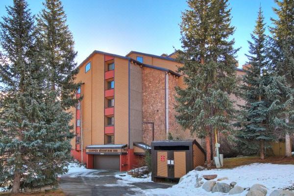 令人惊叹的滑雪进出公寓，宠物友好，非常宽敞 - CM236，由 RedAwning 提供(Cm236 Copper Mtn Inn Condo ...