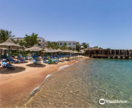 Bella Vista Resort Hurghada - All Inclusive - Hurghada