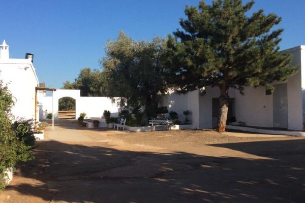 Masseria Pezze Galere Piscina Privata预订价格,联系电话位置地址【携程酒店】