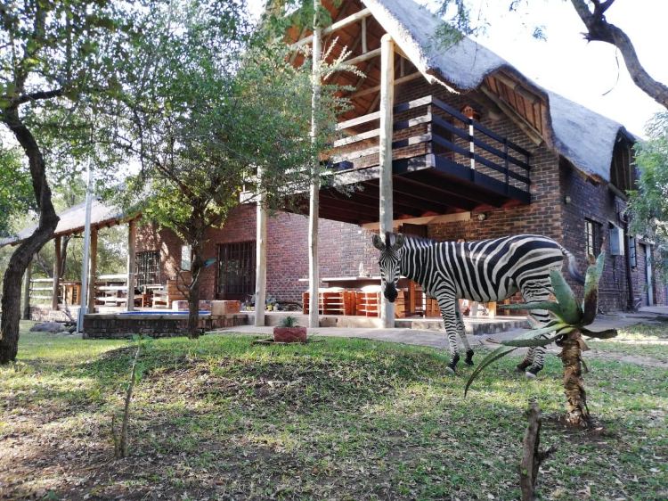 Ama-Zing African Safaris Lodge in Ehlanzeni | 2025 Updated prices ...