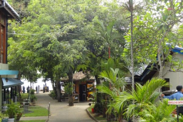 兰蒂雅酒店预订价格,联系电话位置地址【携程酒店】