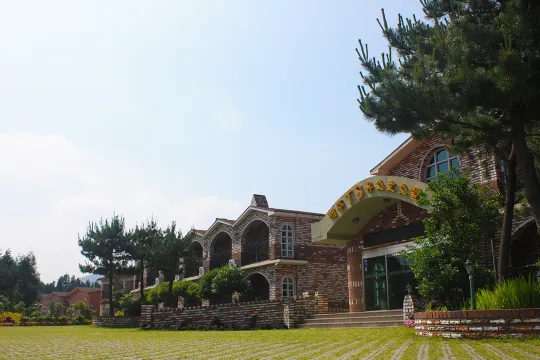 Jeju Ts Youth Hostel - Jeju