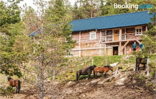 Holiday Home Tynset Savalen Hestesenter预订价格,联系电话位置地址【携程酒店】