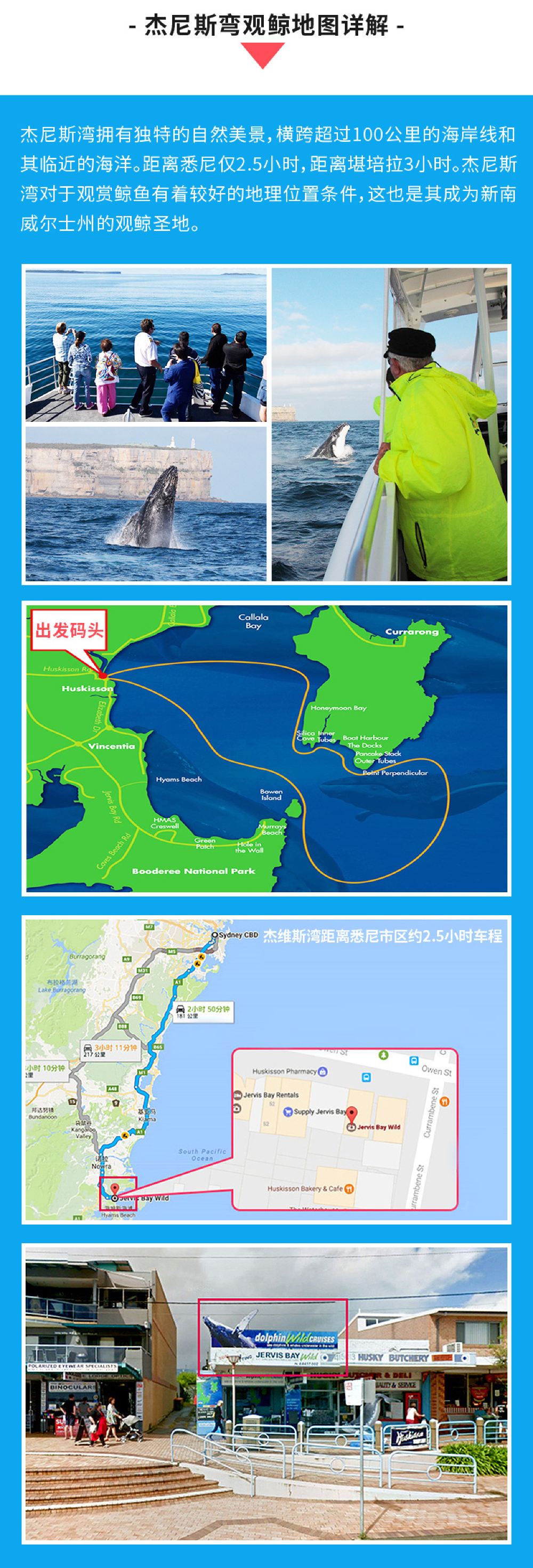 悉尼观鲸游船半日游【季节限定|观鲸季|码头时间任选】线路推荐【携程玩乐】