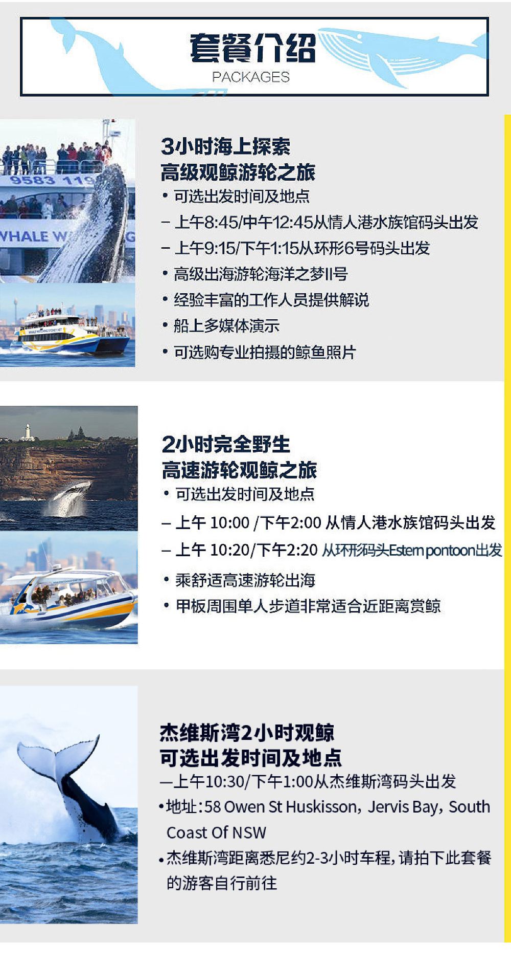 悉尼观鲸游船半日游【季节限定|观鲸季|码头时间任选】线路推荐【携程玩乐】