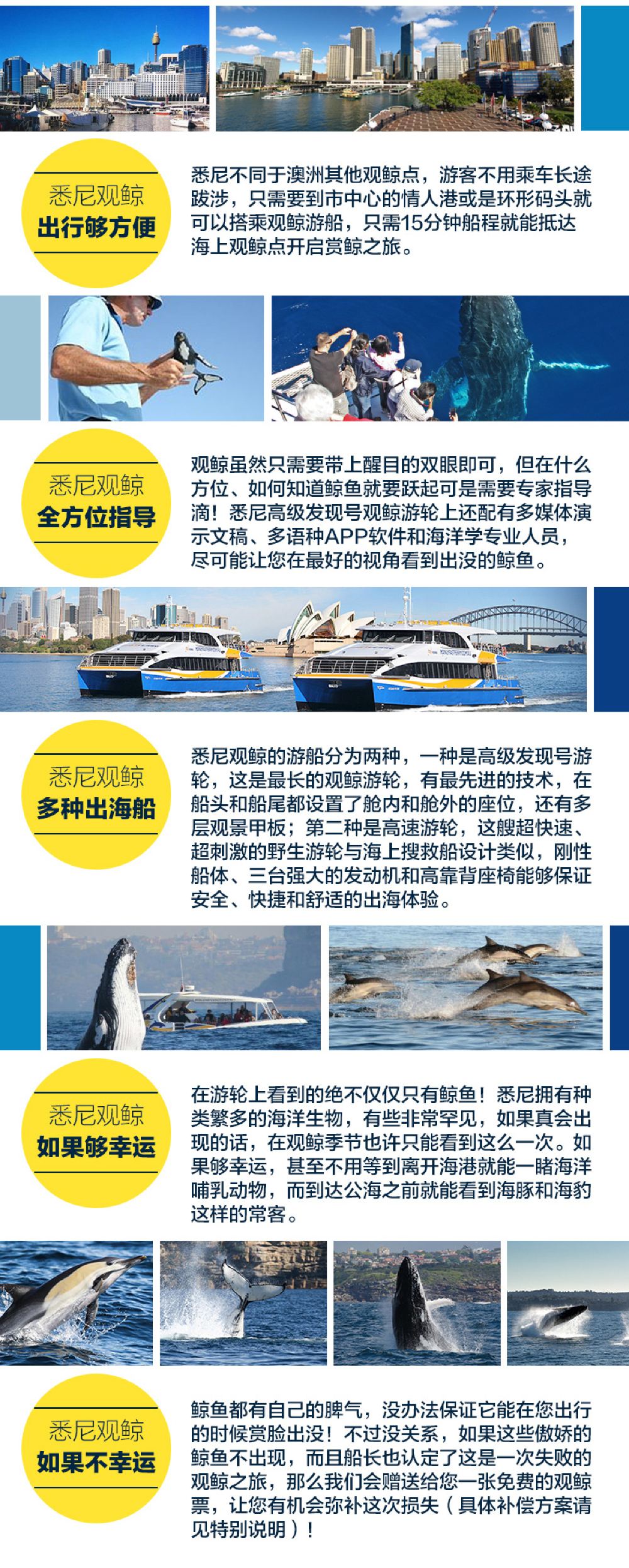 悉尼观鲸游船半日游【季节限定|观鲸季|码头时间任选】线路推荐【携程玩乐】