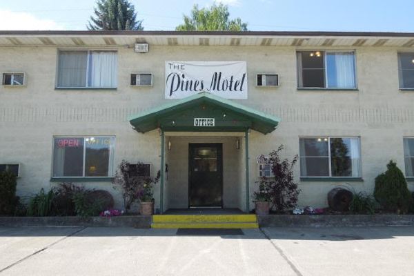 The Pines Motel预订价格,联系电话位置地址【携程酒店】