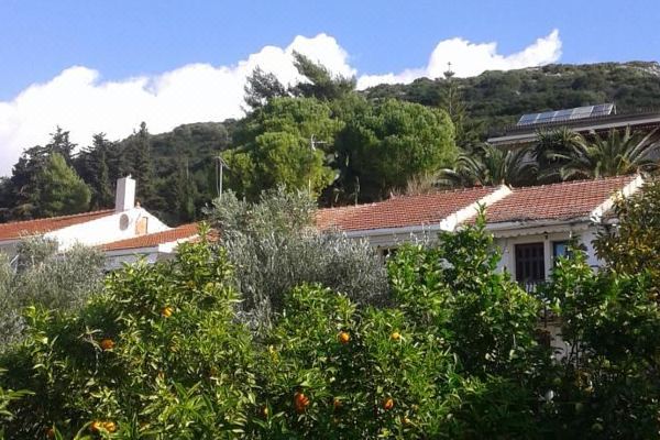 Aggelos Kefalonia Lassi预订价格,联系电话位置地址【携程酒店】