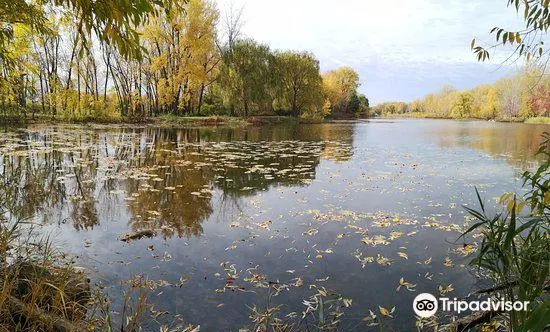 Parc Angrignon|蒙特利爾Parc Angrignon玩樂門票預訂|Parc Angrignon旅遊攻略2026-永安旅遊